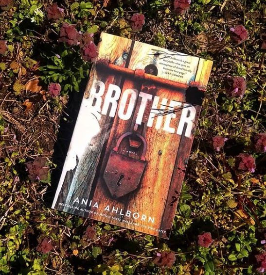 Opinión Sobre el Libro “Brother” (2015) de Ania Ahlborn – Un Blog de ...